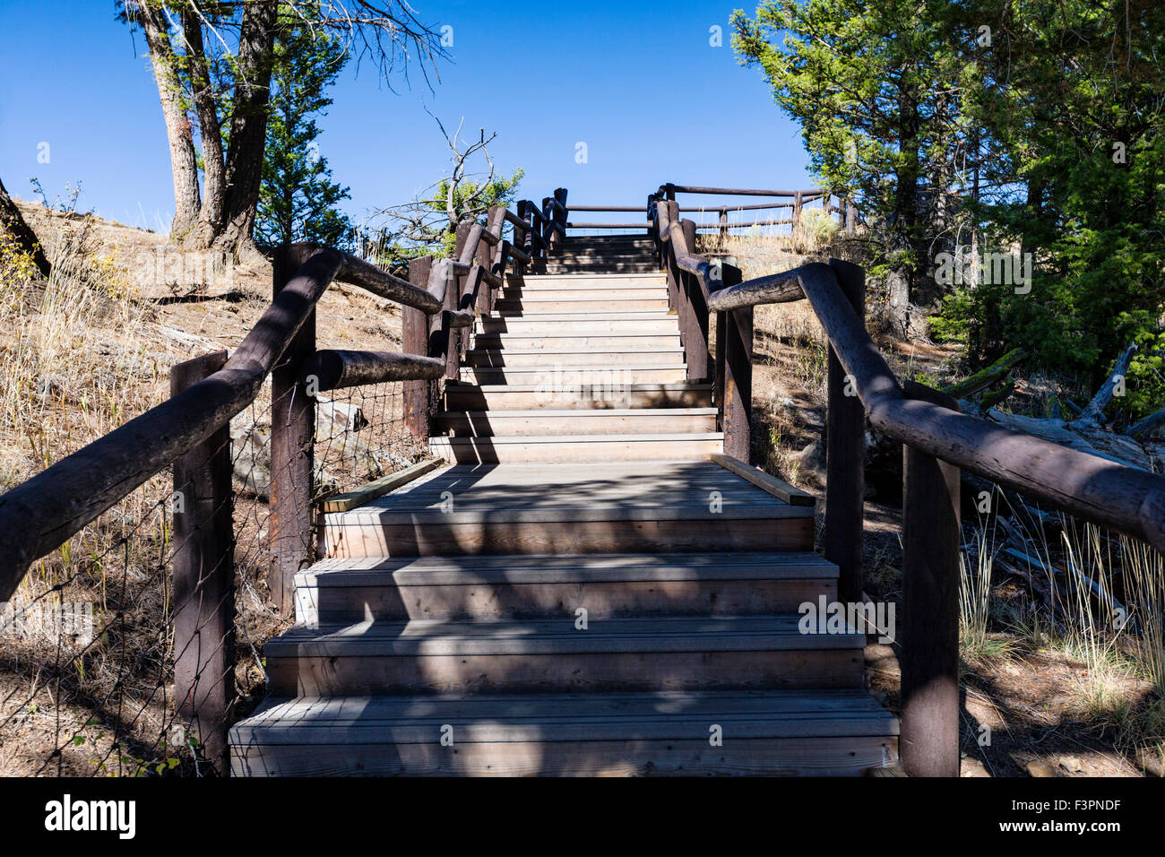 Stairs to overlook platform; Yellowstone River; Grand Canyon of the ...