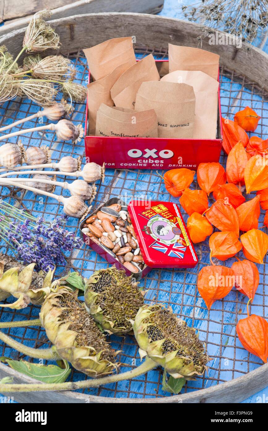 Still life in the garden hi-res stock photography and images - Alamy