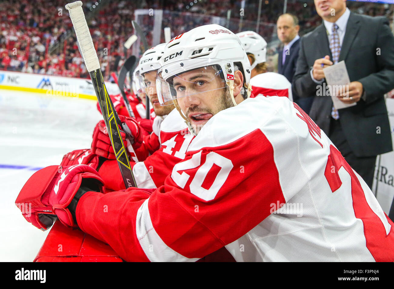 Detroit red wing hi-res stock photography and images - Alamy
