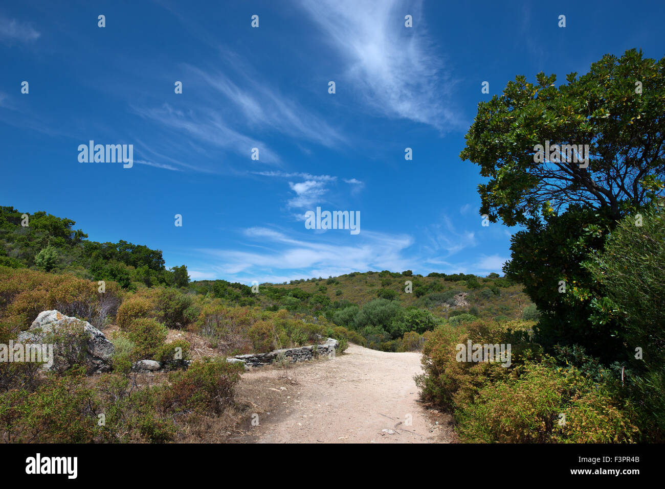 Mediterranean scrub of Desert des Agriates between Lotu Beach and ...