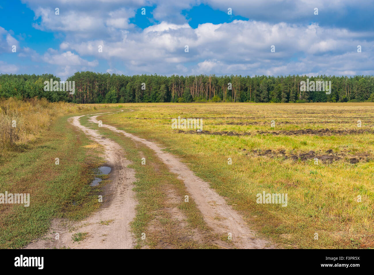Ukrainian country landscape with earth road to forest at late summer ...