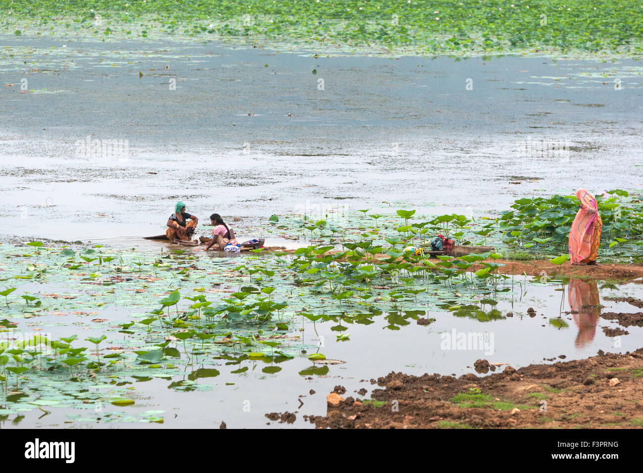 Women washing cloths hi-res stock photography and images - Alamy