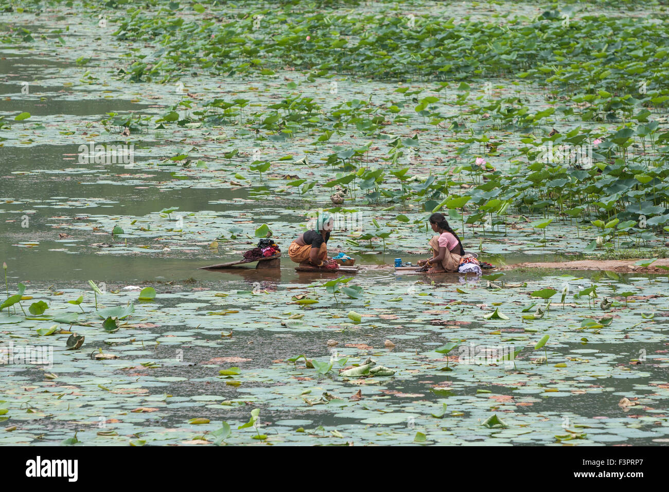 Women washing cloths hi-res stock photography and images - Alamy