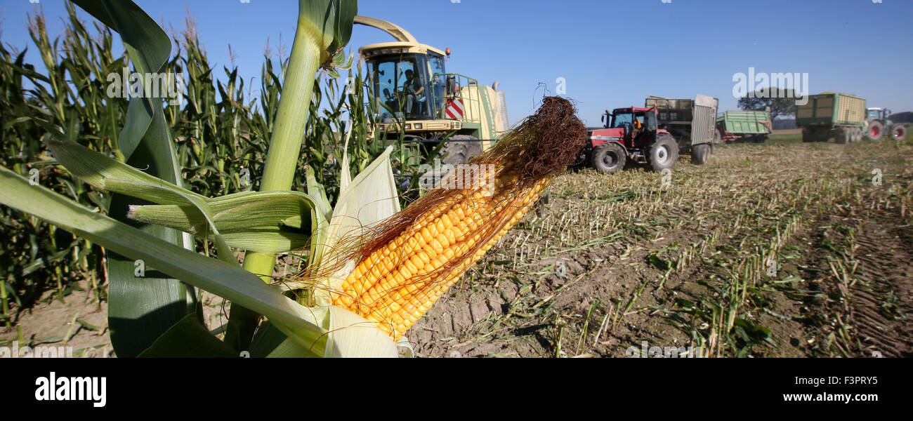 Maize chopper hi-res stock photography and images - Alamy