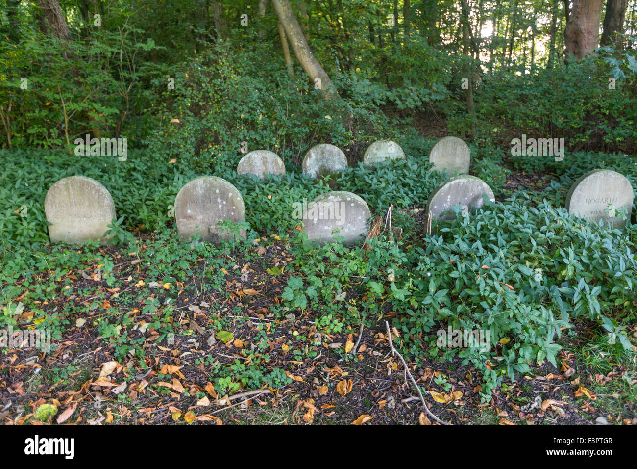 Dogs cemetery in Duncombe Park, Helmsley, North Yorkshire, England ...