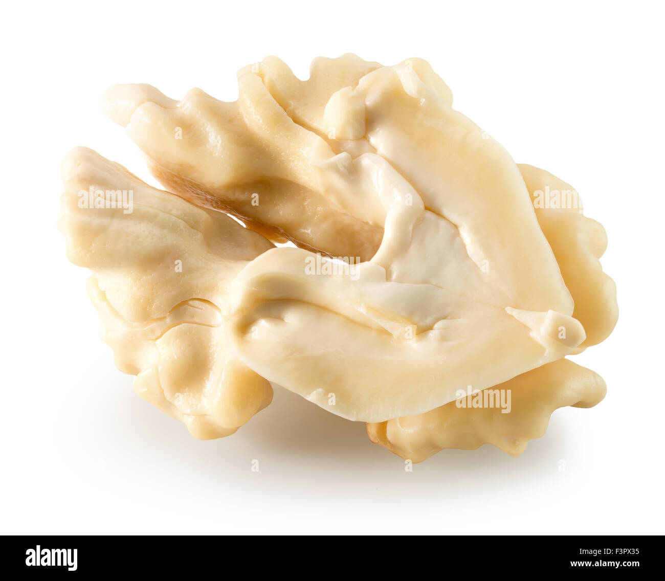 walnut nucleus isolated on the white background Stock Photo - Alamy