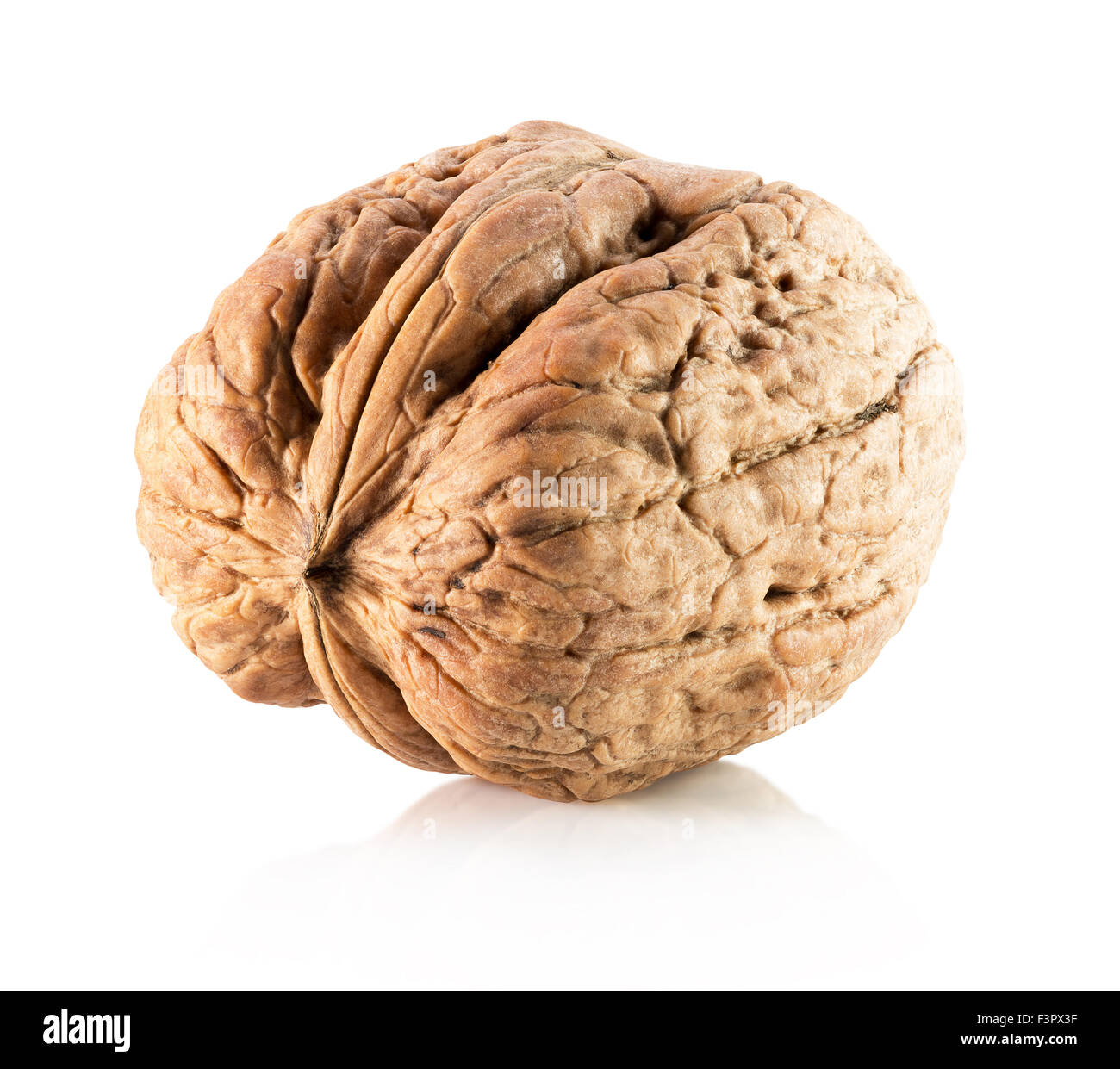 walnut isolated on the white background Stock Photo - Alamy