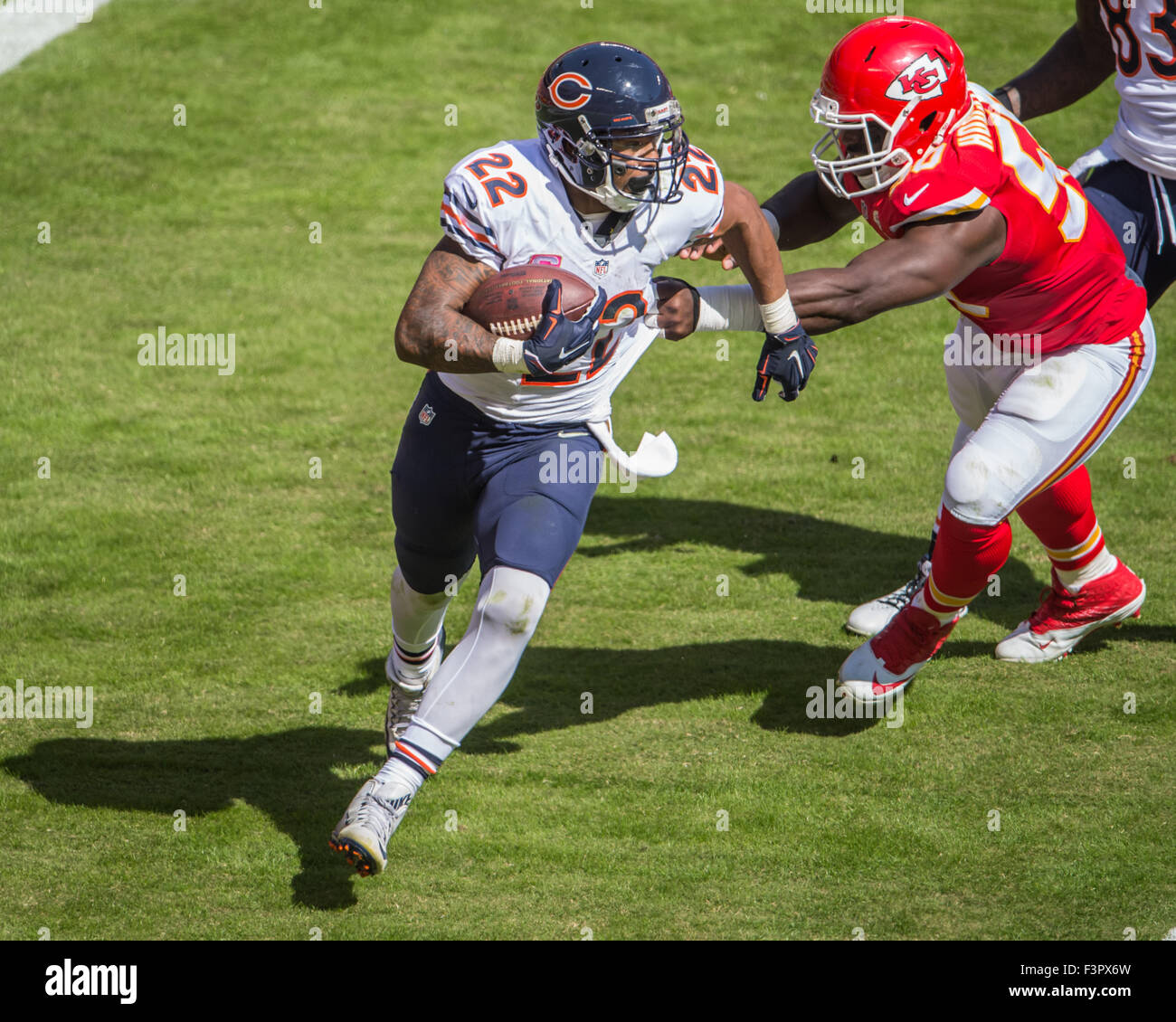 Matt forte chicago bears hi-res stock photography and images - Alamy