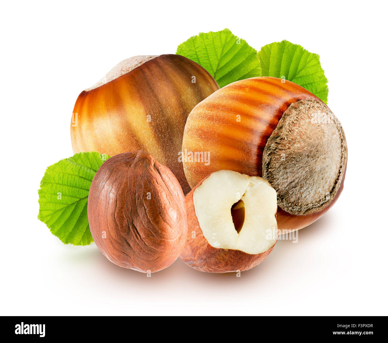 Hazelnuts shell green leaf on hi-res stock photography and images - Alamy