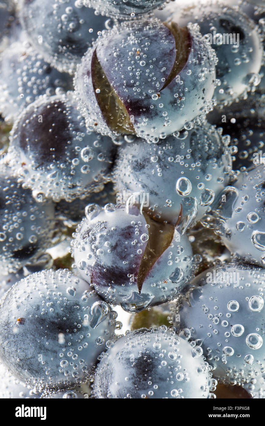 Bubbles in water hi-res stock photography and images - Alamy