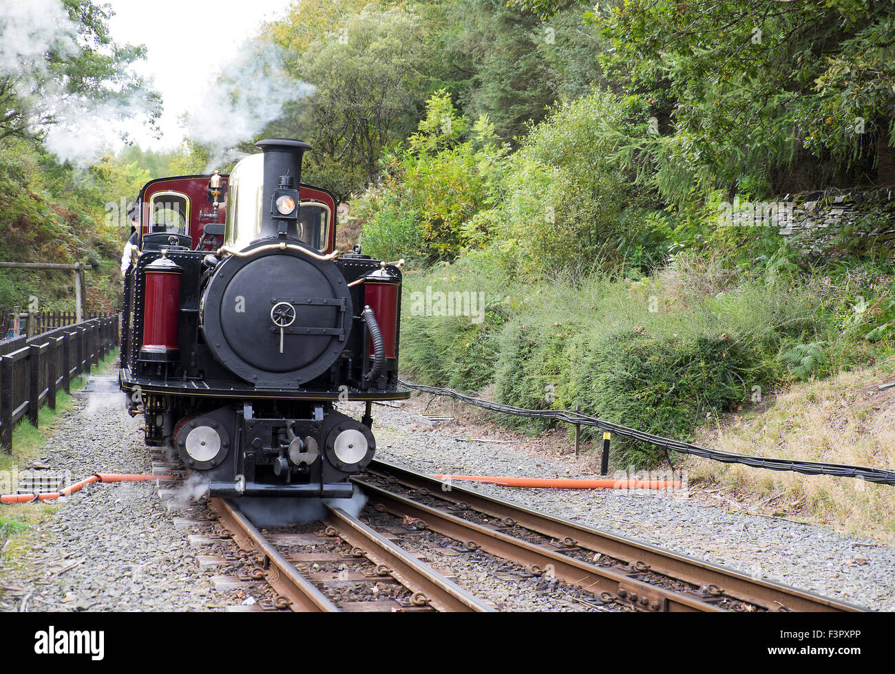 Steam Engines await there trains on the Welsh Heritage and Ffestiniog ...