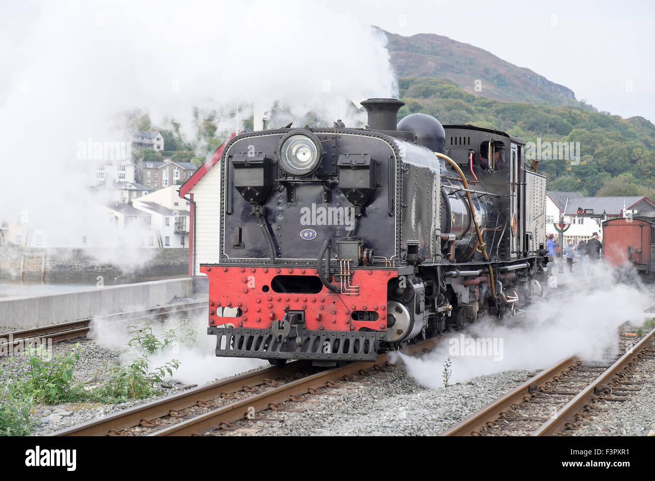 Steam Engines await there trains on the Welsh Heritage and Ffestiniog ...