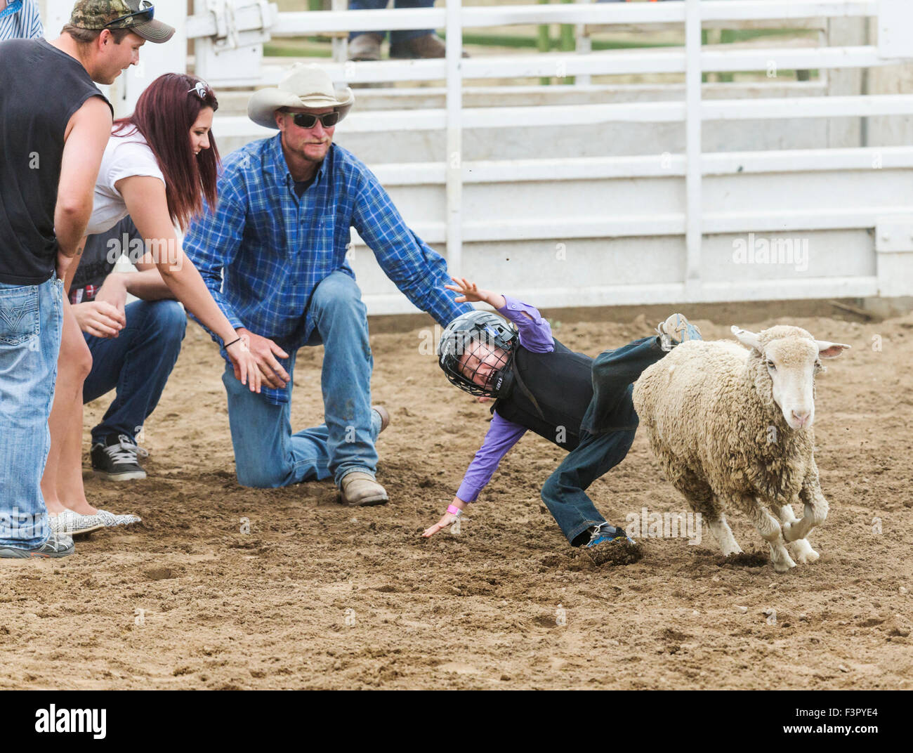 Mutton busting cowgirl riding sheep hi-res stock photography and images ...