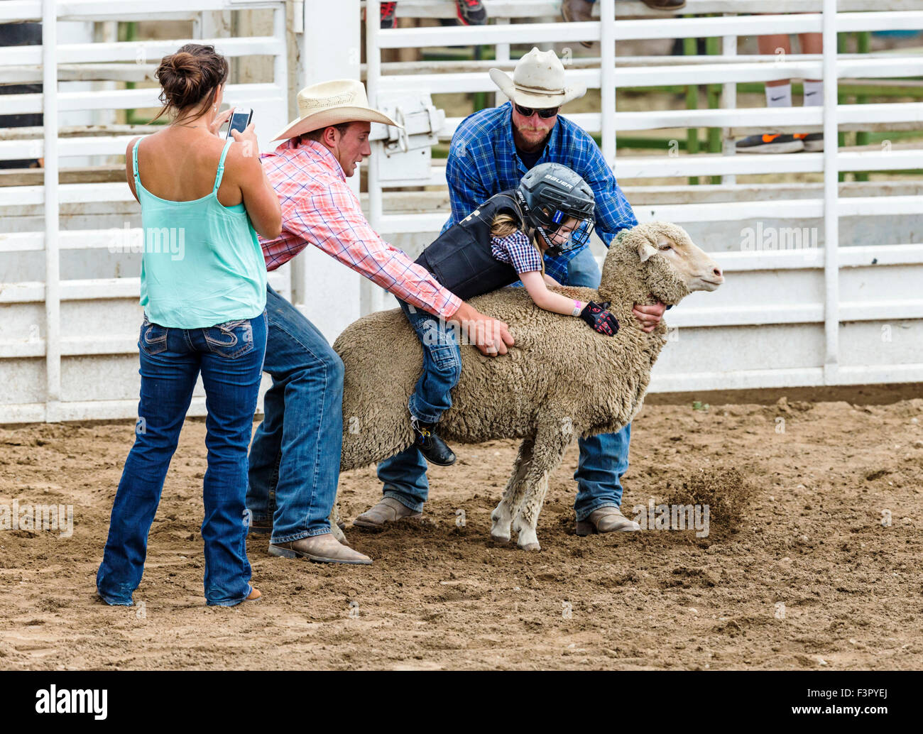 Child competes in sheep riding, mutton bustin', event, Chaffee County ...