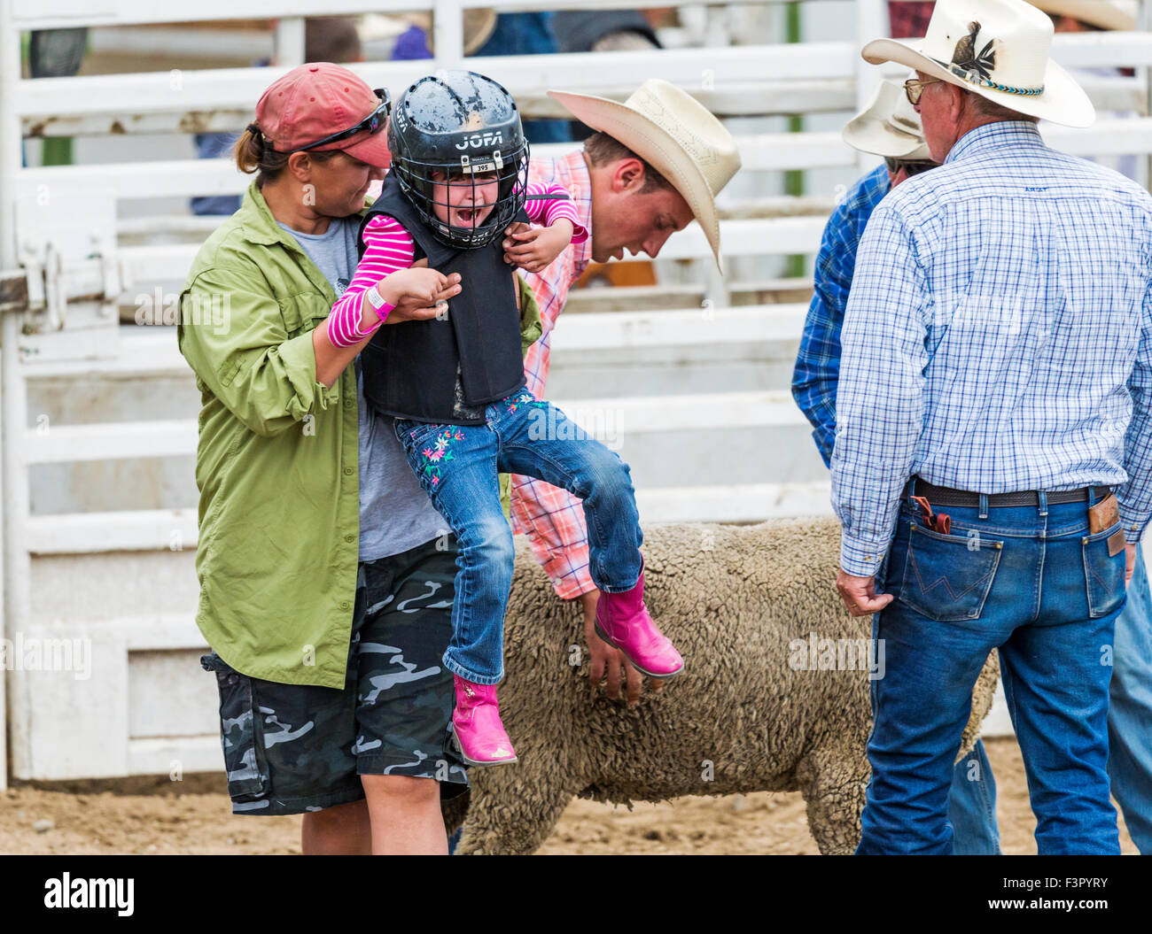 Child competes in sheep riding, mutton bustin', event, Chaffee County ...