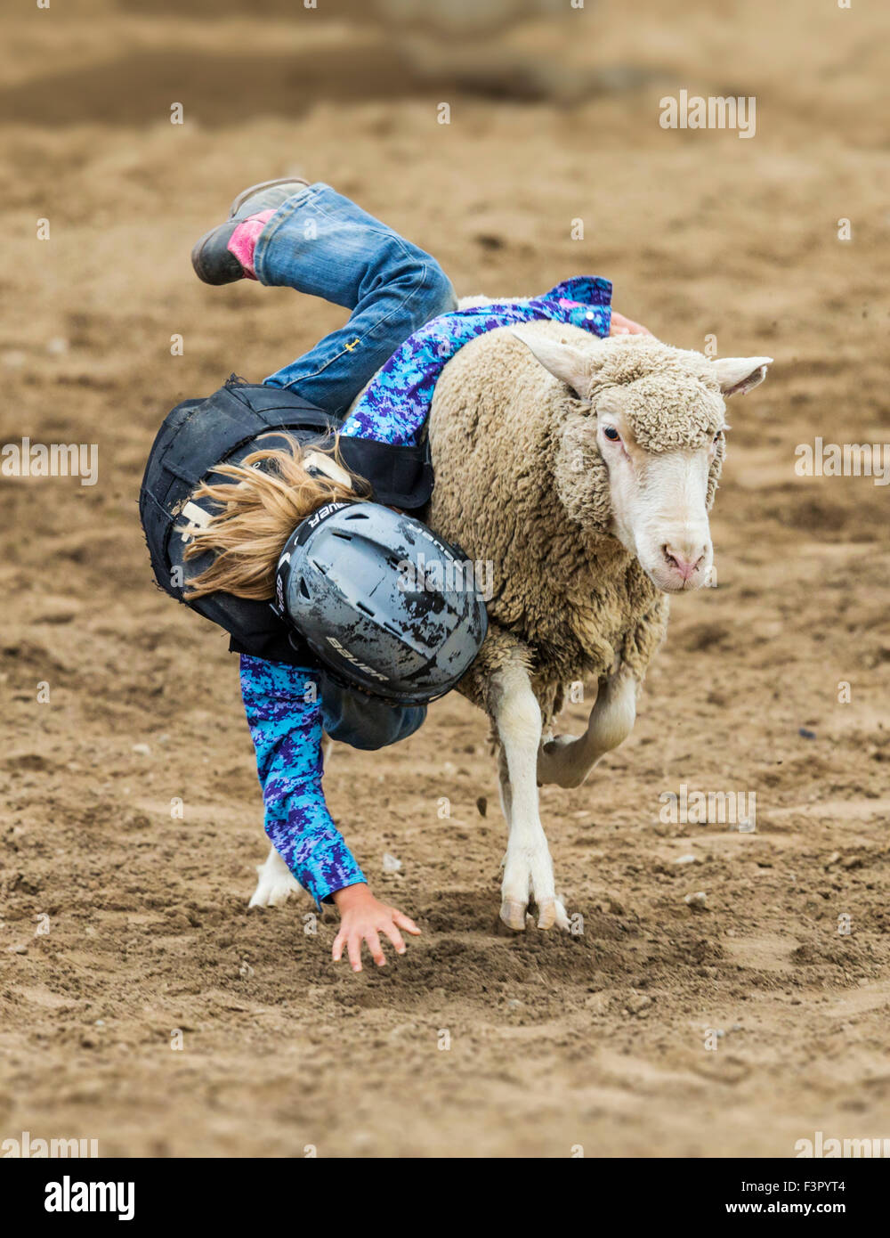 Child competes in sheep riding, mutton bustin', event, Chaffee County ...