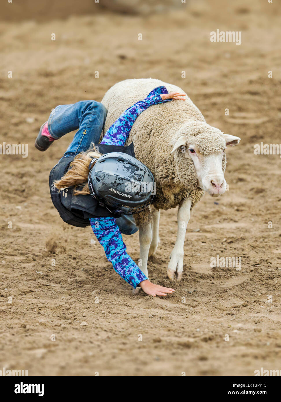 Child competes in sheep riding, mutton bustin', event, Chaffee County ...