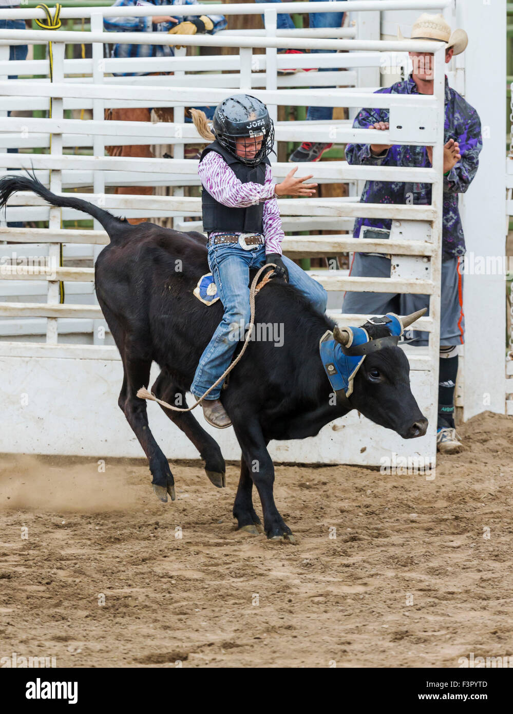 Young cowboy falling from a small steer in the Junior Steer Riding ...