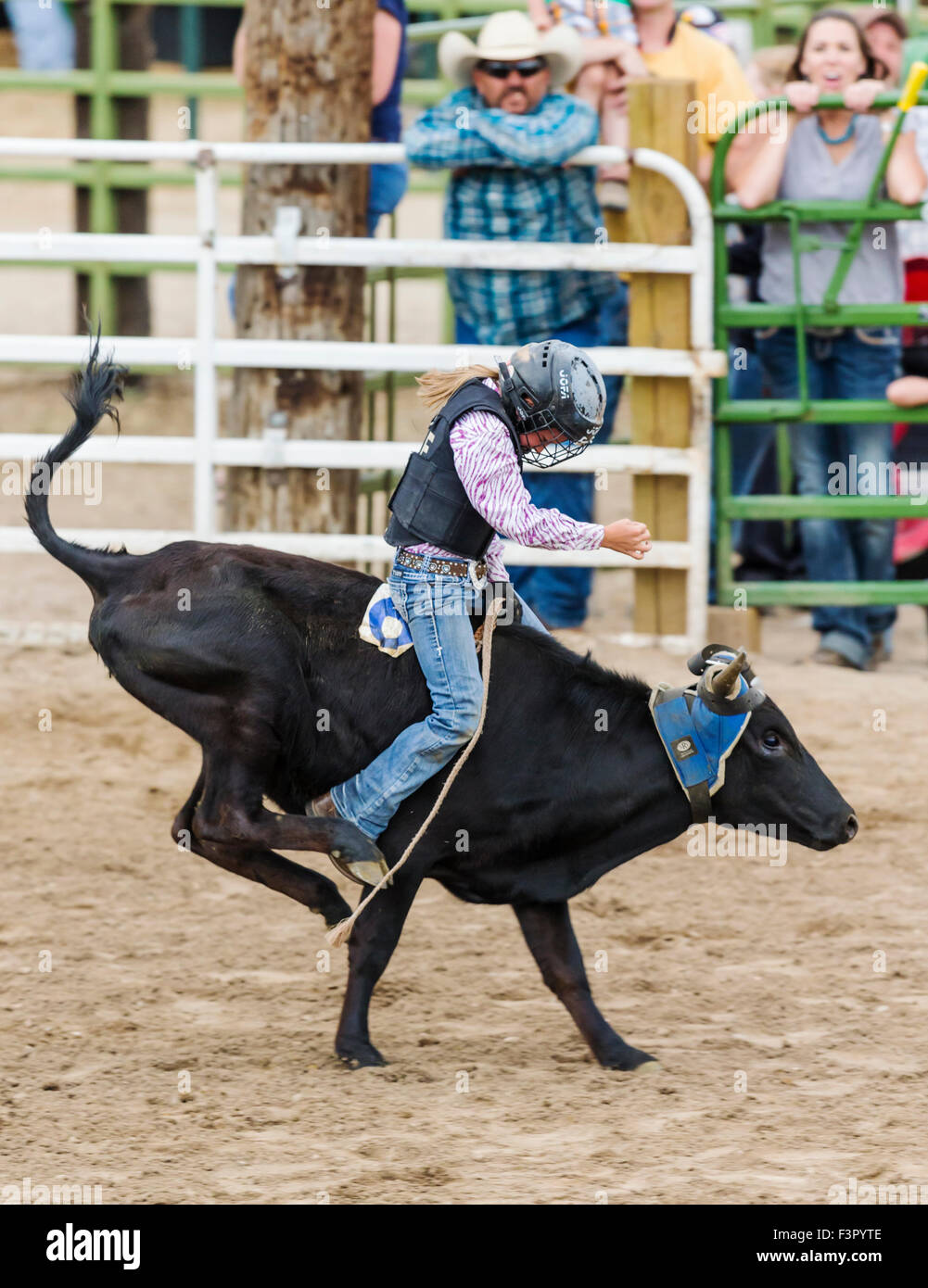 Young cowboy falling from a small steer in the Junior Steer Riding ...