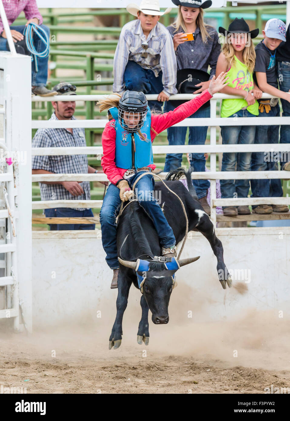 Young cowboy falling from a small steer in the Junior Steer Riding ...