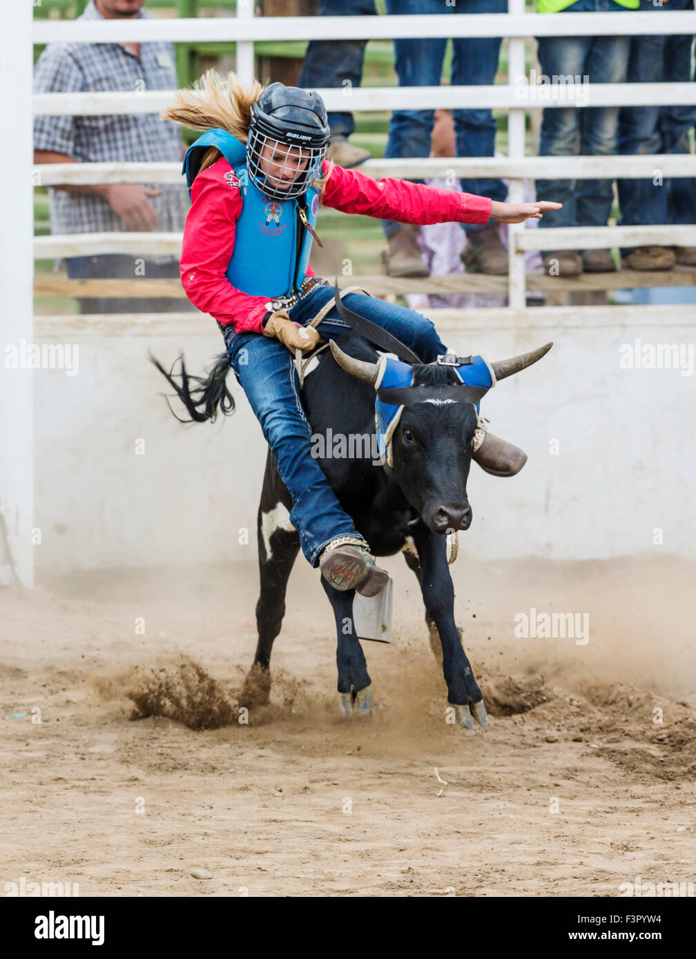 Young cowboy falling from a small steer in the Junior Steer Riding ...