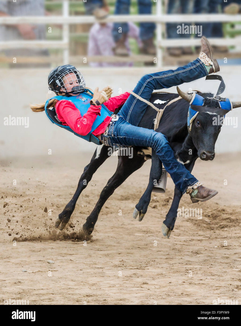 Young cowboy falling from a small steer in the Junior Steer Riding ...