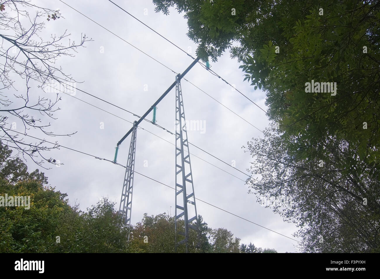 Power lines in the forest hi-res stock photography and images - Alamy