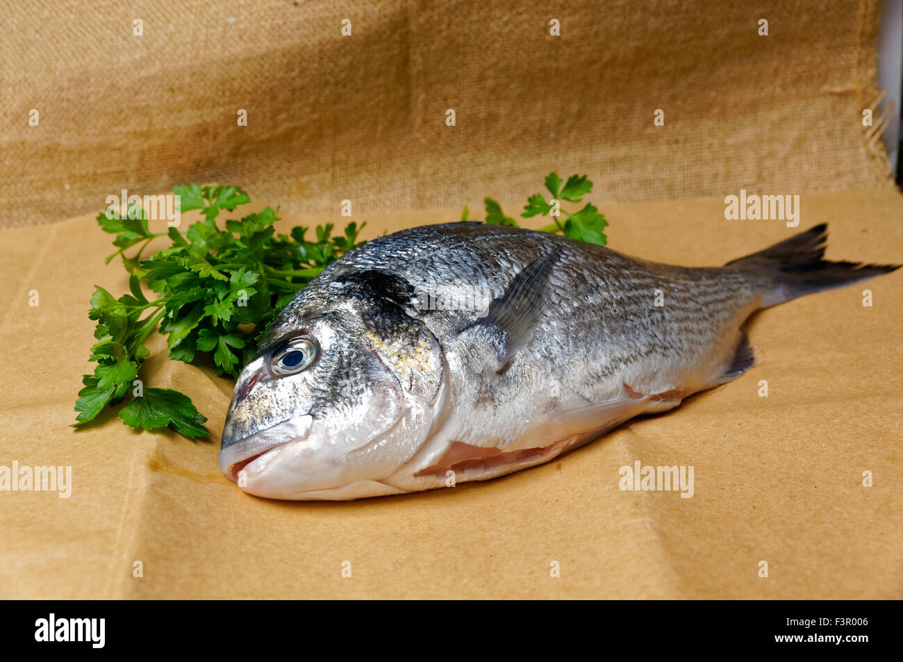 Large fish sea bream orata gutted Stock Photo - Alamy