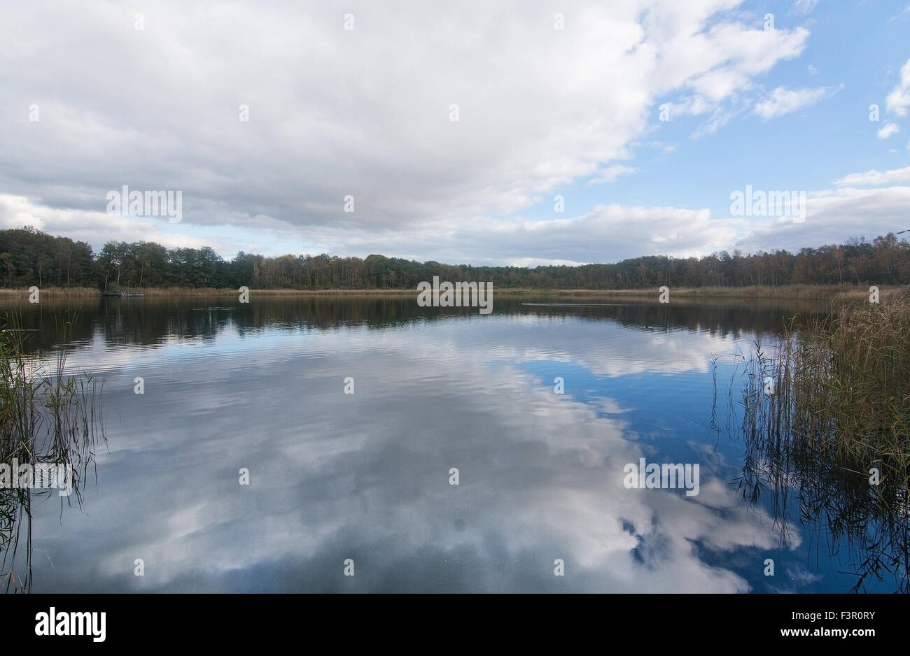Reflection blue sky white cloud trees hi-res stock photography and ...