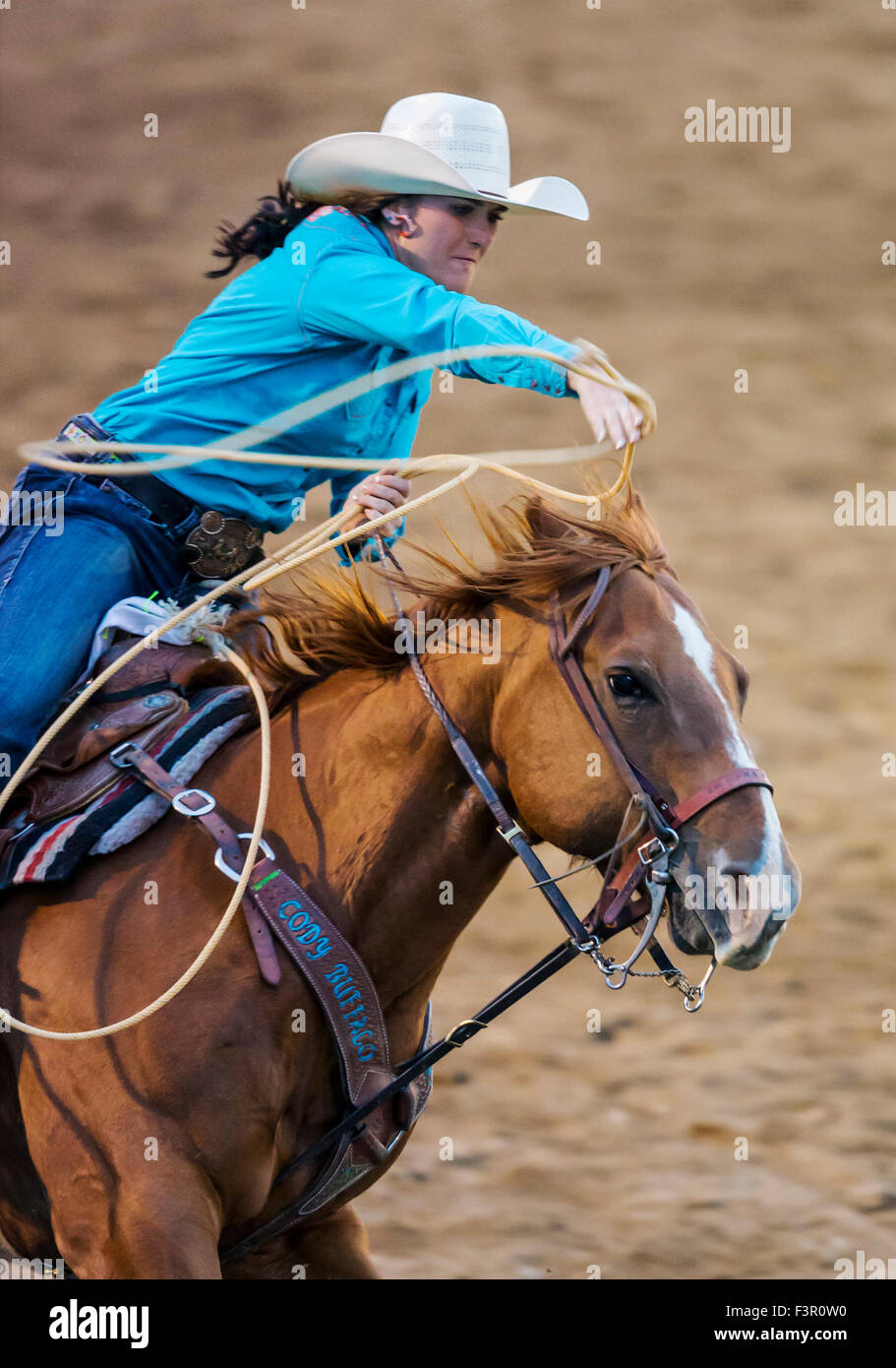 Rodeo cowgirl on horseback competing in calf roping, or tie-down roping ...