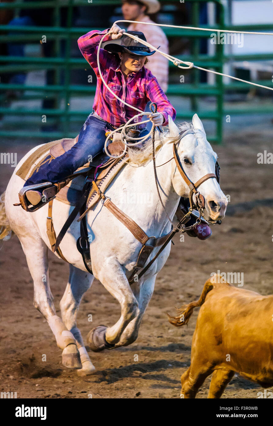 Rodeo cowgirl on horseback competing in calf roping, or tie-down roping ...