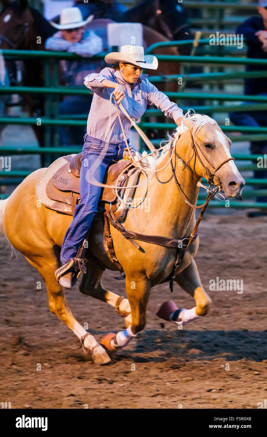 Rodeo cowgirl on horseback competing in calf roping, or tie-down roping ...