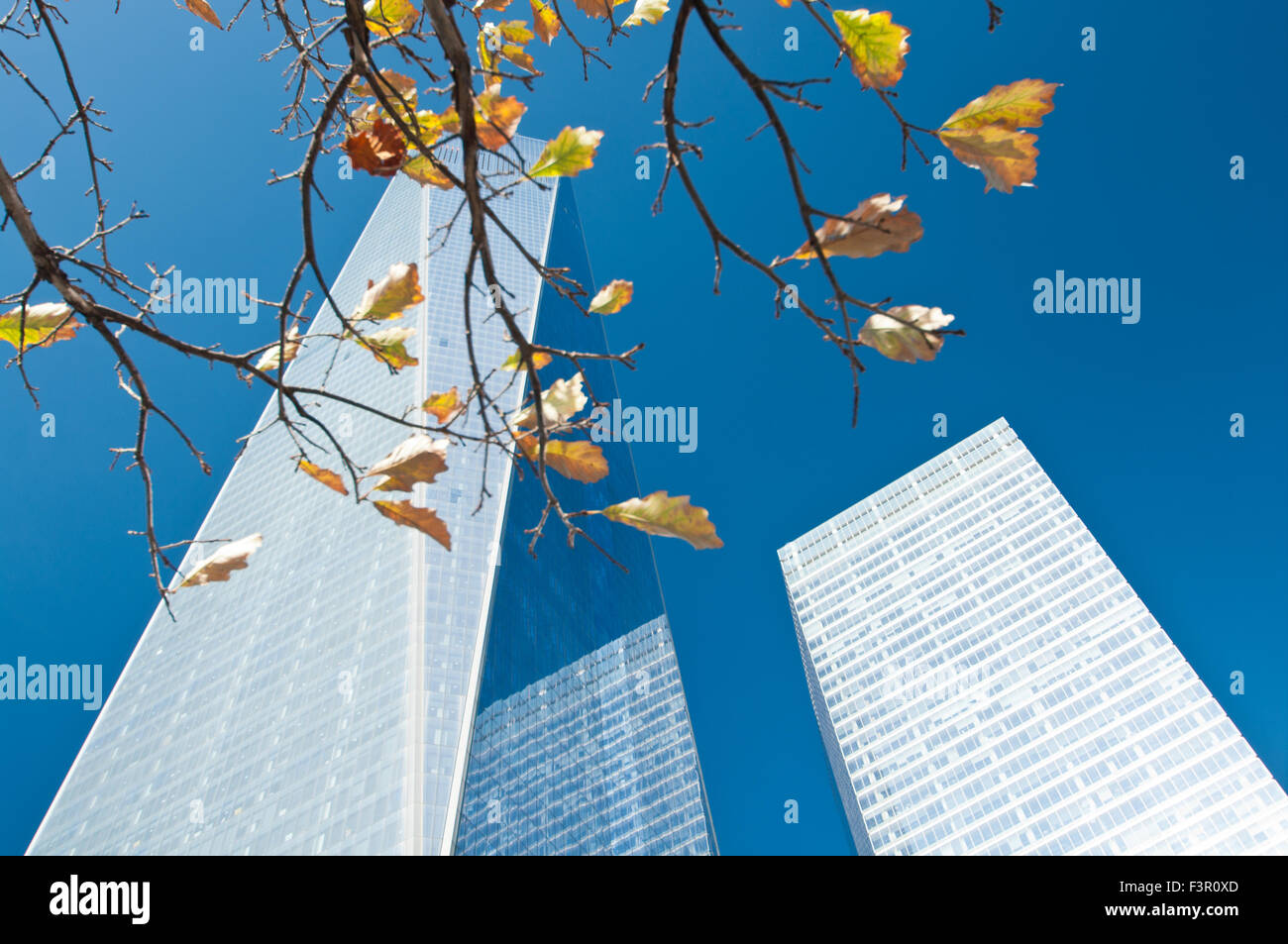 view from Ground Zero of One World Trade Center (Freedom Tower), Lower ...