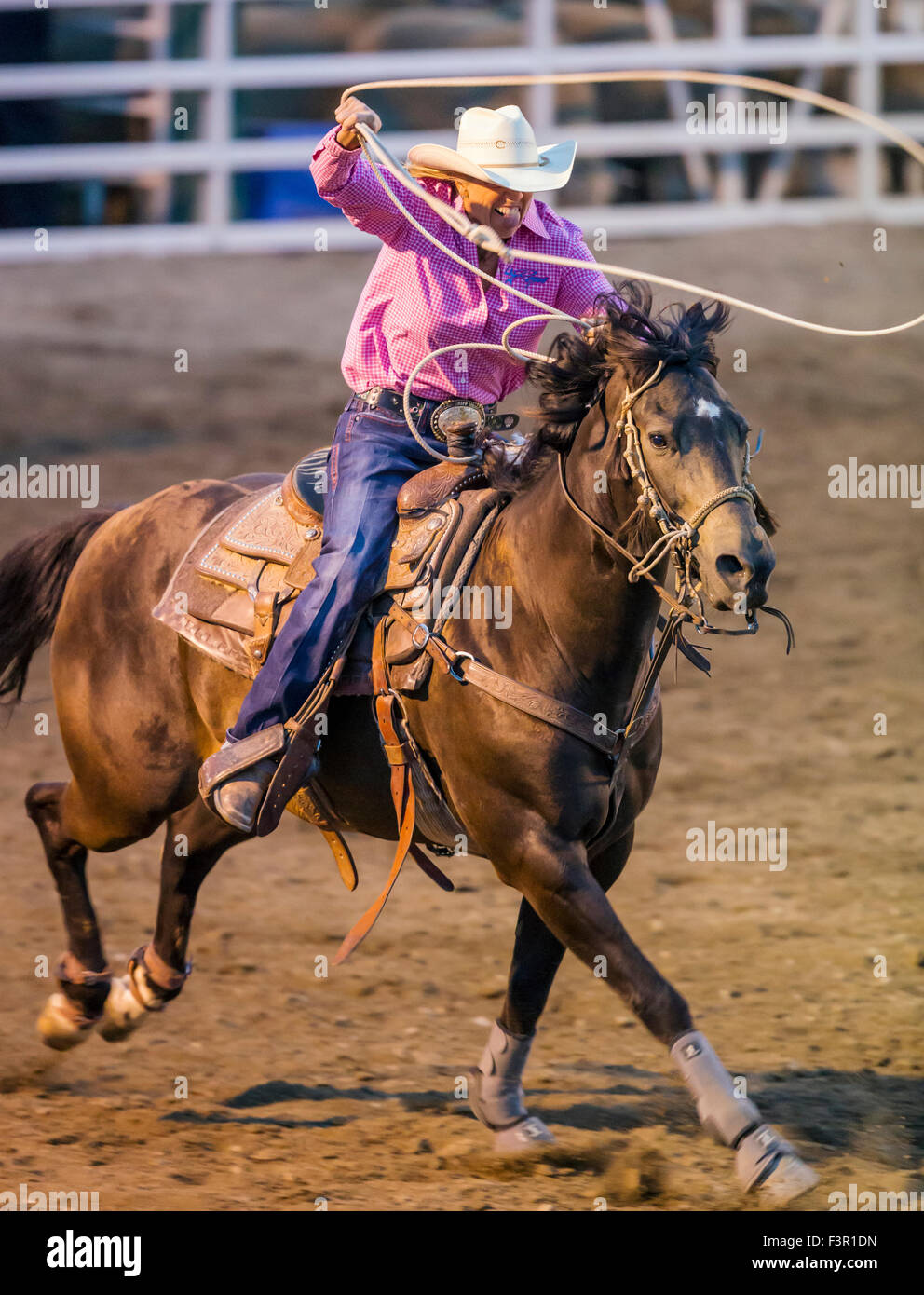 Rodeo cowgirl on horseback competing in calf roping, or tie-down roping ...