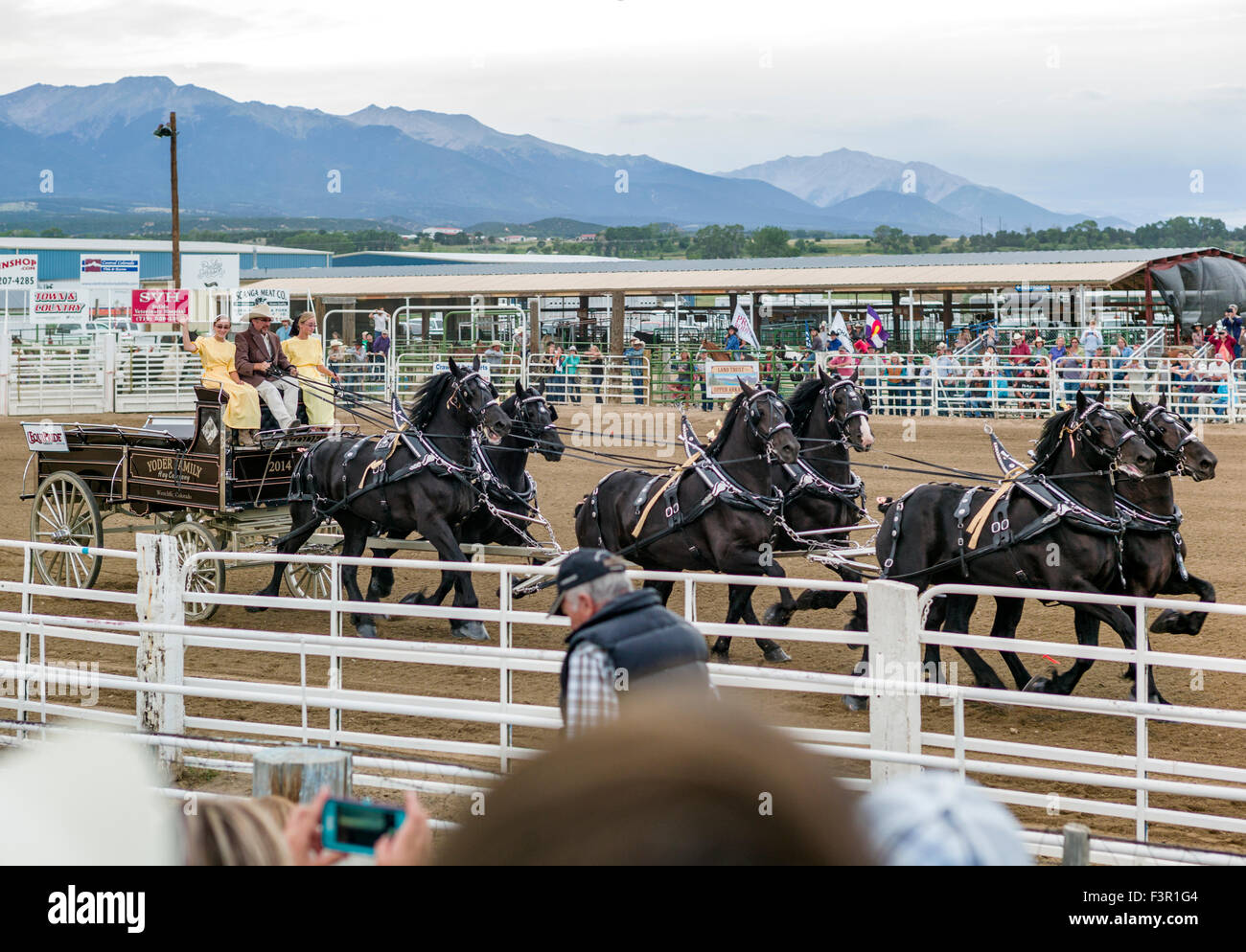 Rural fair draft horses hi-res stock photography and images - Alamy