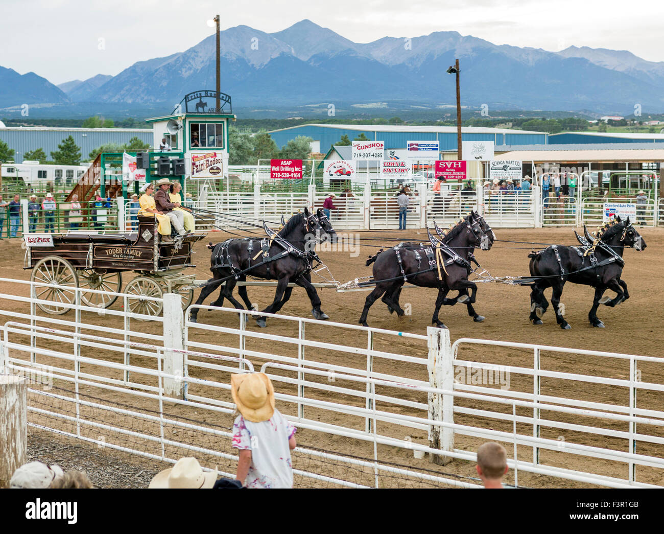 Rural fair draft horses hi-res stock photography and images - Alamy