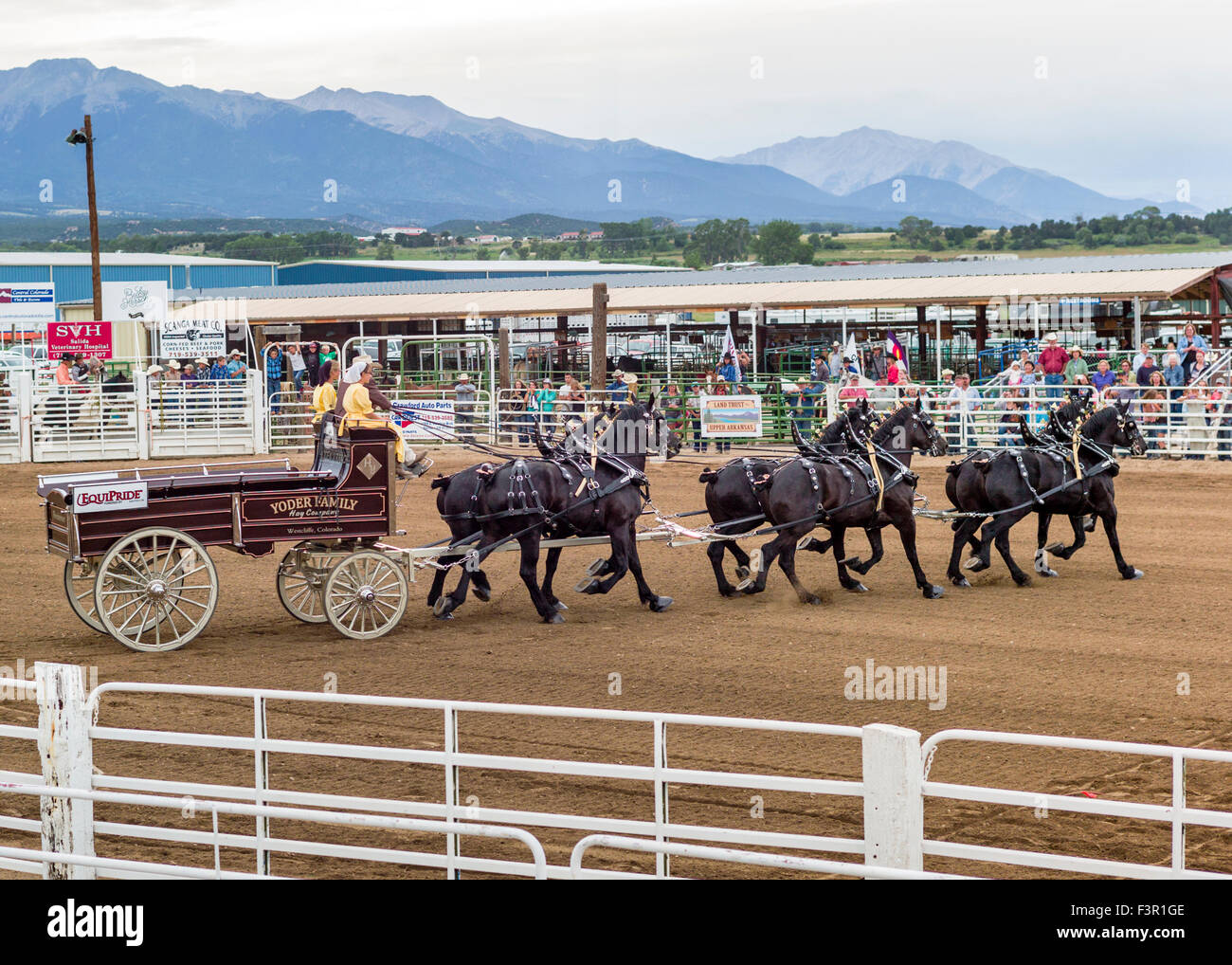 Rural fair draft horses hi-res stock photography and images - Alamy