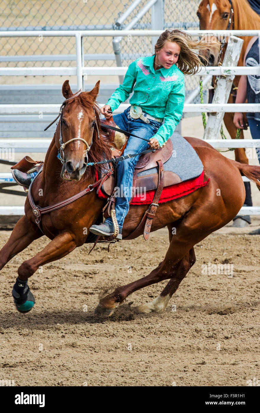 Rodeo cowgirl on horseback competing in barrel racing event, Chaffee ...