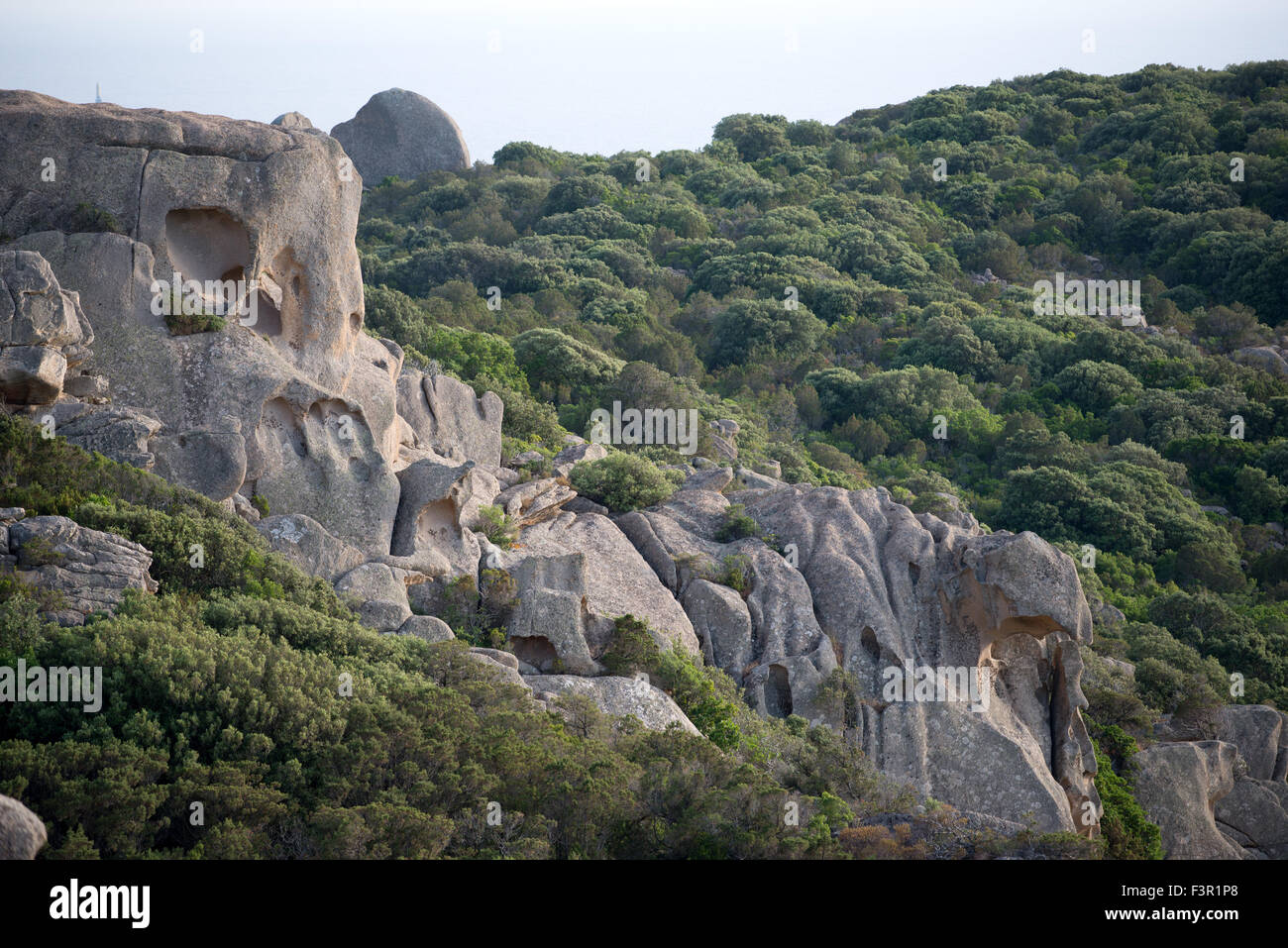 Bizarre sandstone rocks formation in Southern Corsica, France Stock ...