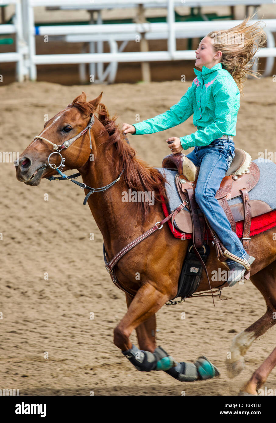 Rodeo cowgirl on horseback competing in barrel racing event, Chaffee ...