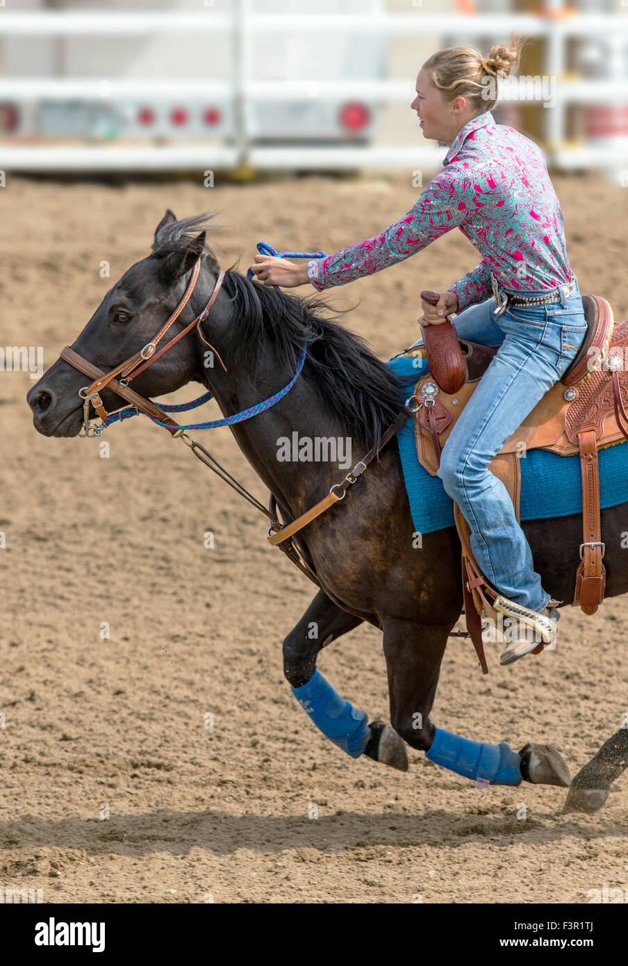 Rodeo cowgirl on horseback competing in barrel racing event, Chaffee ...