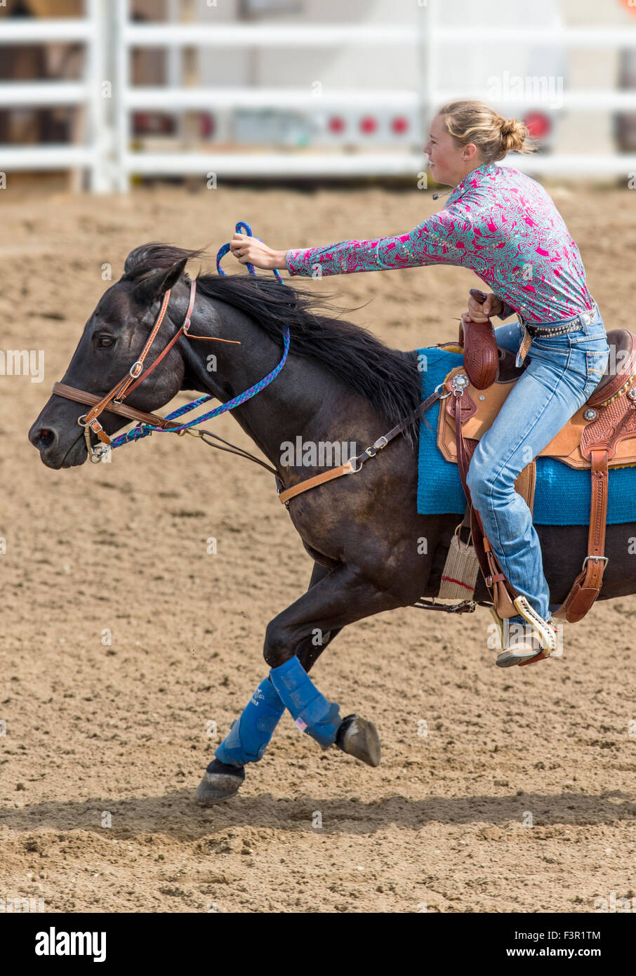 Rodeo cowgirl on horseback competing in barrel racing event, Chaffee ...