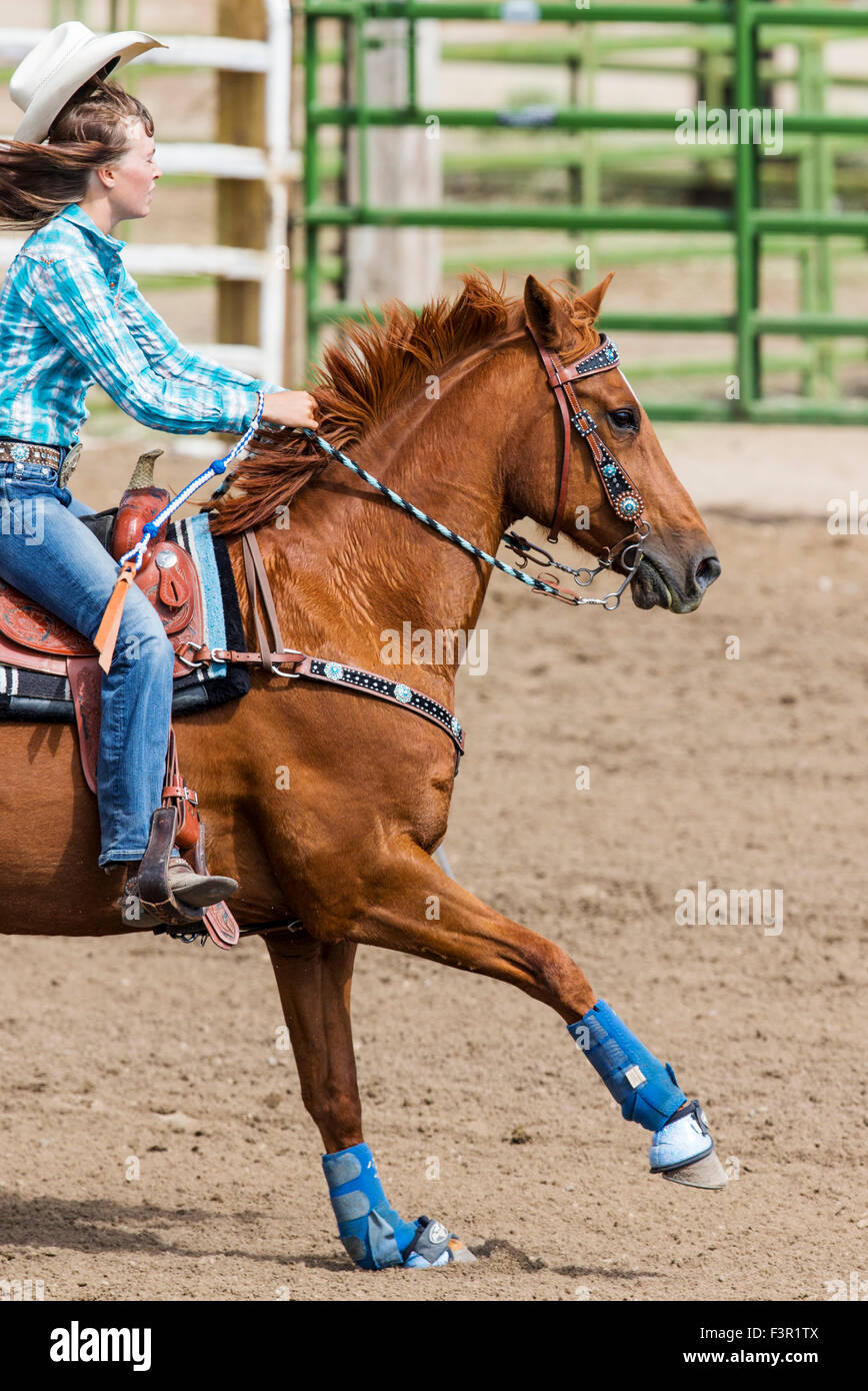 Rodeo cowgirl on horseback competing in barrel racing event, Chaffee ...