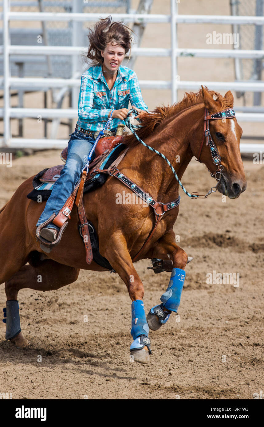 Rodeo cowgirl on horseback competing in barrel racing event, Chaffee ...