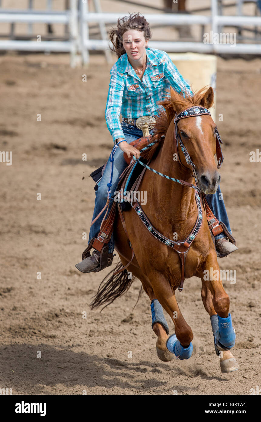 Rodeo cowgirl on horseback competing in barrel racing event, Chaffee ...