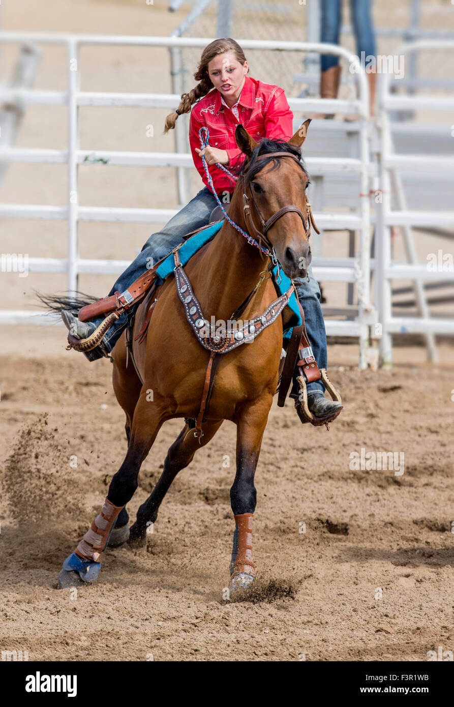 Rodeo cowgirl on horseback competing in barrel racing event, Chaffee ...