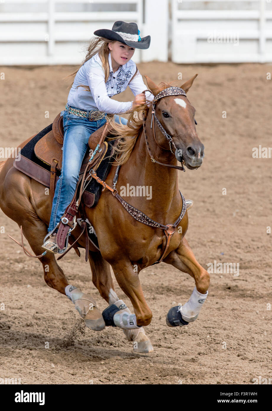 Rodeo cowgirl on horseback competing in barrel racing event, Chaffee ...