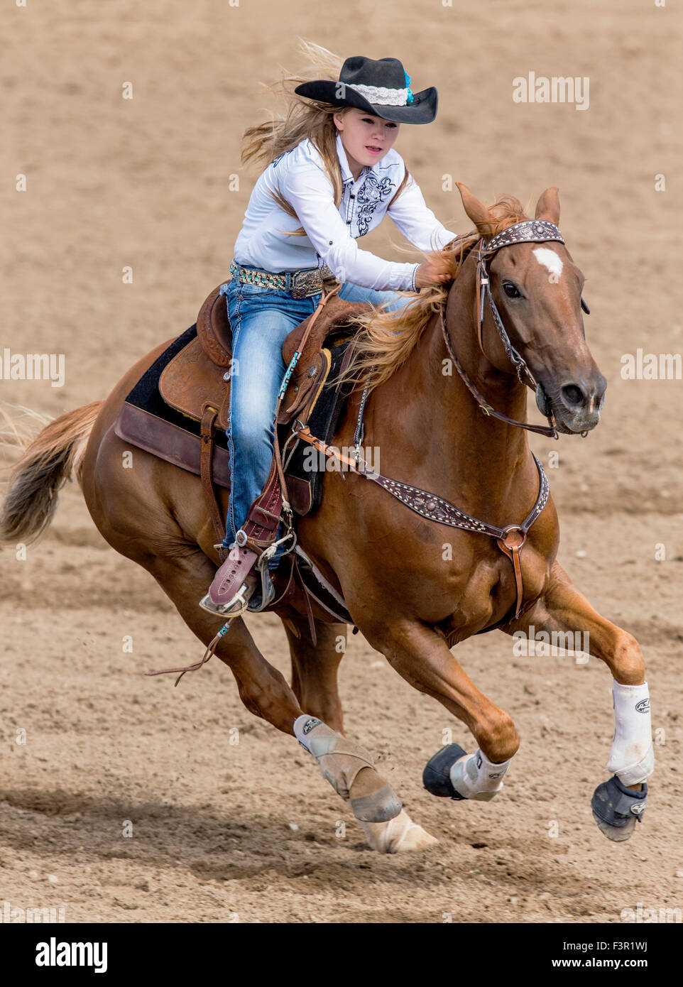 Rodeo cowgirl on horseback competing in barrel racing event, Chaffee ...