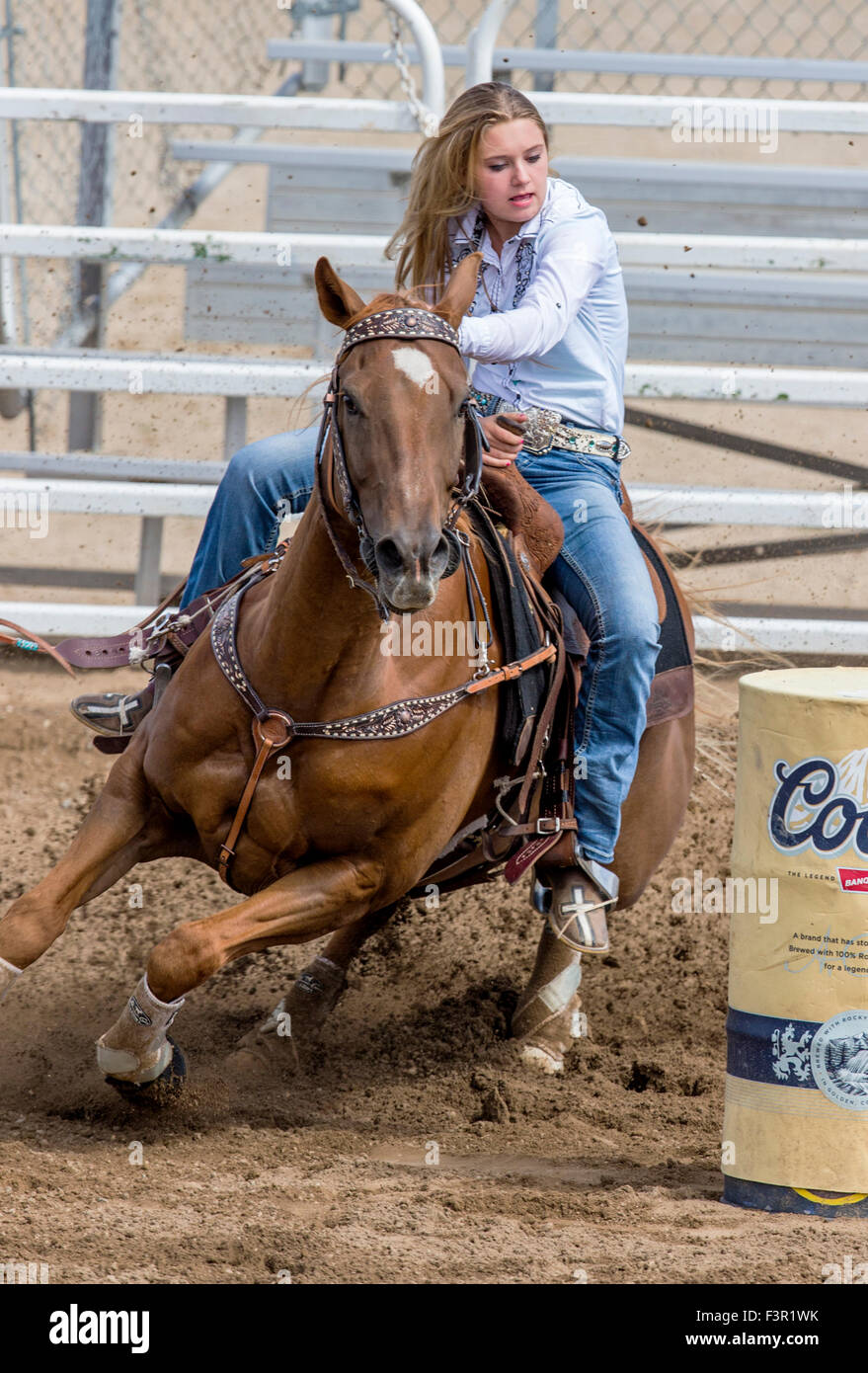 Rodeo cowgirl on horseback competing in barrel racing event, Chaffee ...