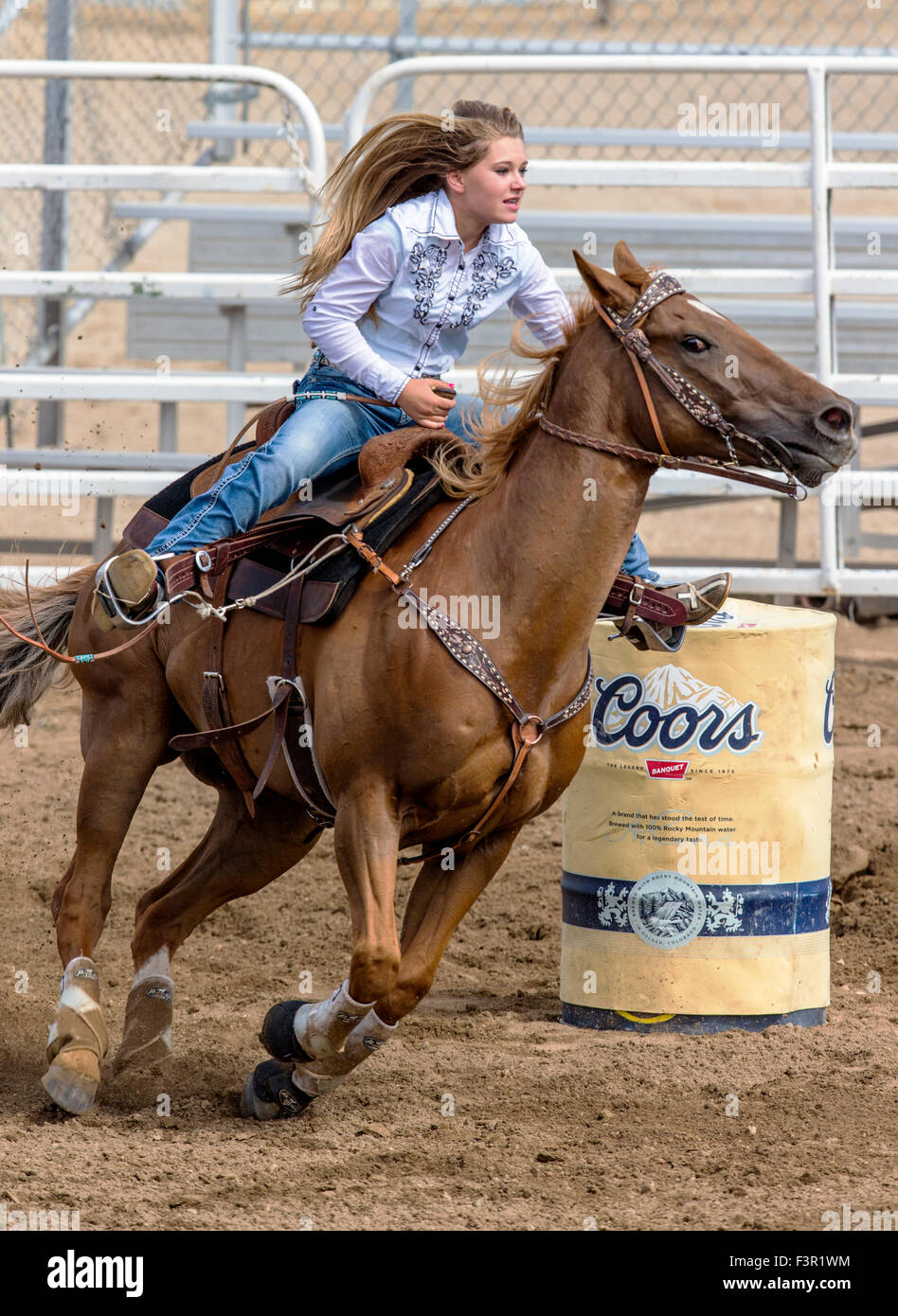 Rodeo cowgirl on horseback competing in barrel racing event, Chaffee ...